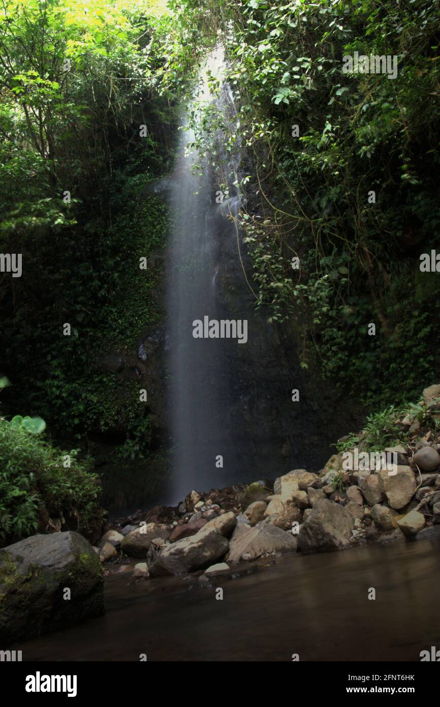 A waterfall that lies between submontane forest and agricultural ...