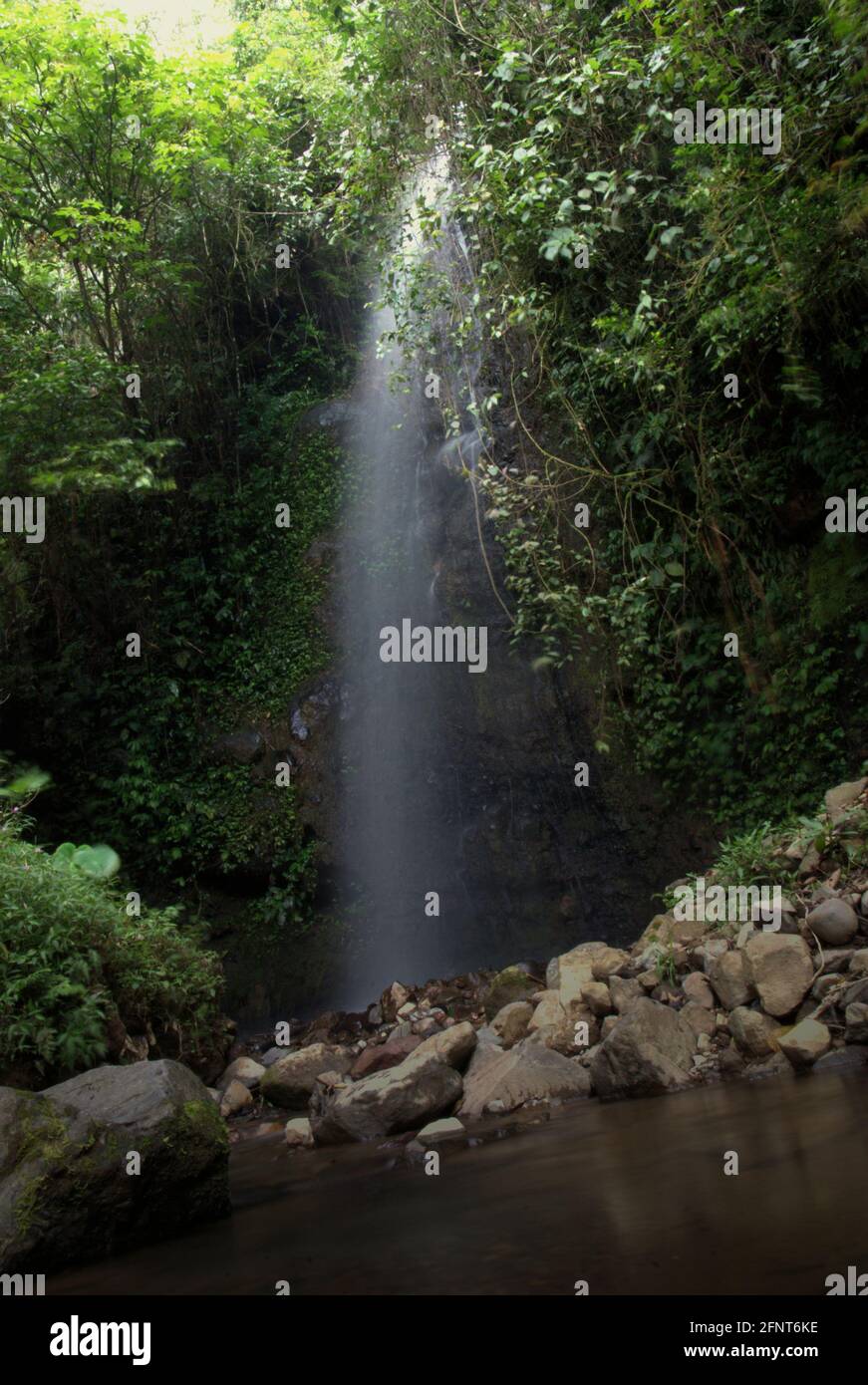 A waterfall that lies between submontane forest and agricultural ...