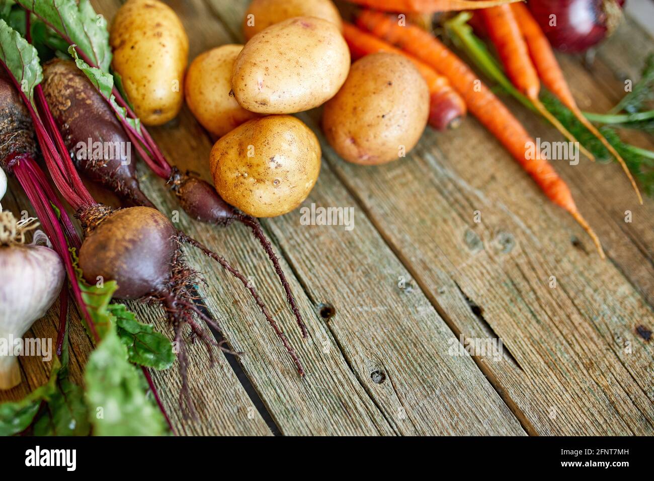 Flat lay of assortment of fresh root vegetables, bio healthy, organic ...