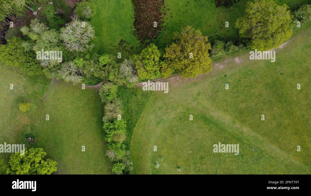 An aerial view looking from directly above of green fields and hedges ...