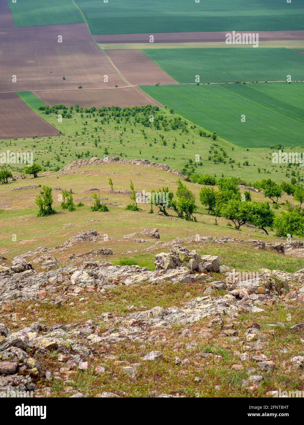 Vertical shot of beautiful agricultural fields in the Dobrogea region ...