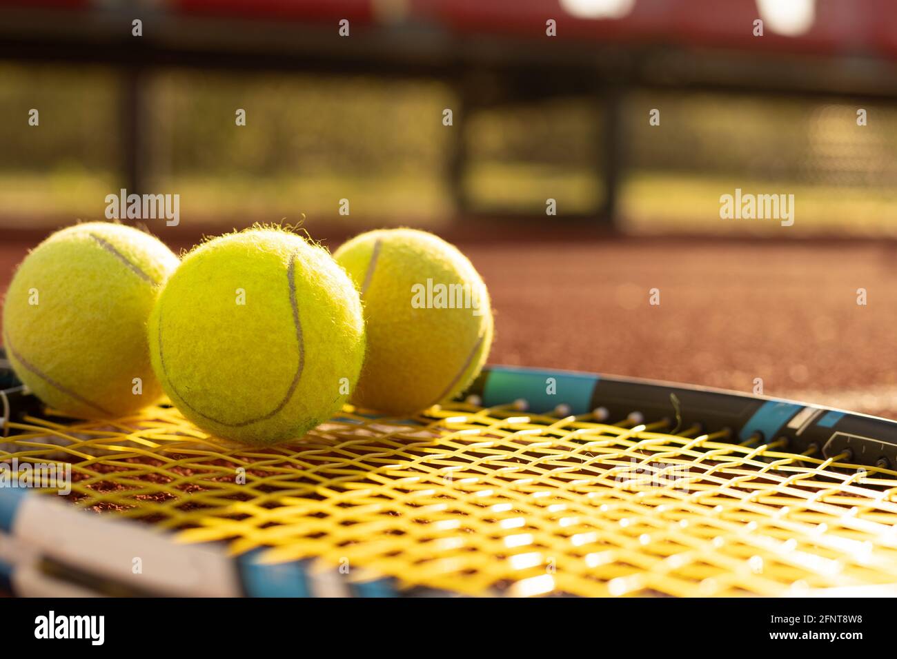 Tennis Ball with Racket on the racket in tennis court Stock Photo - Alamy