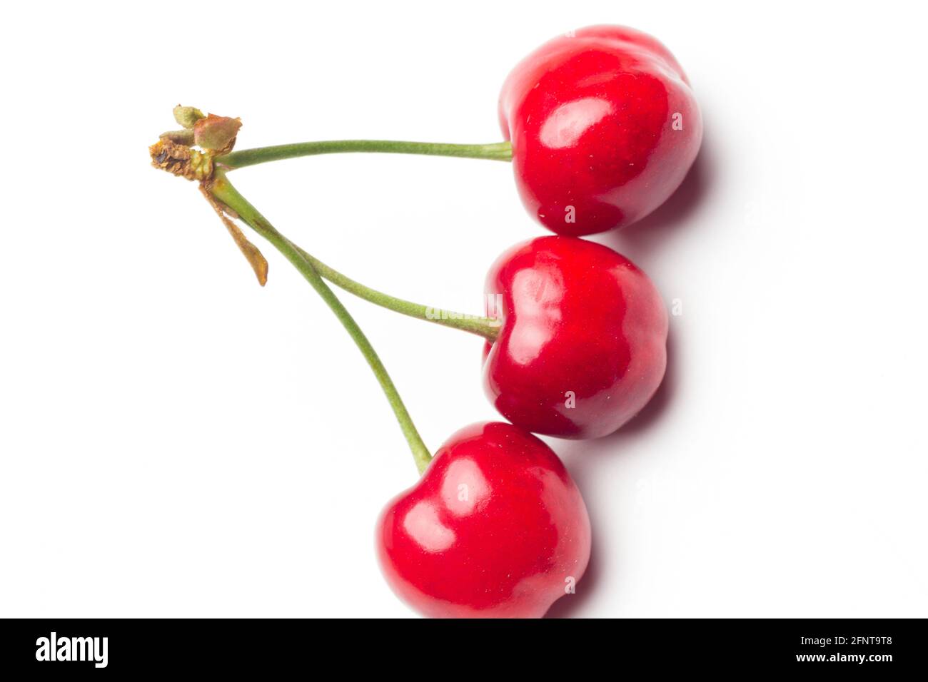 set of small red cherries on a white background full of vitamins and ...