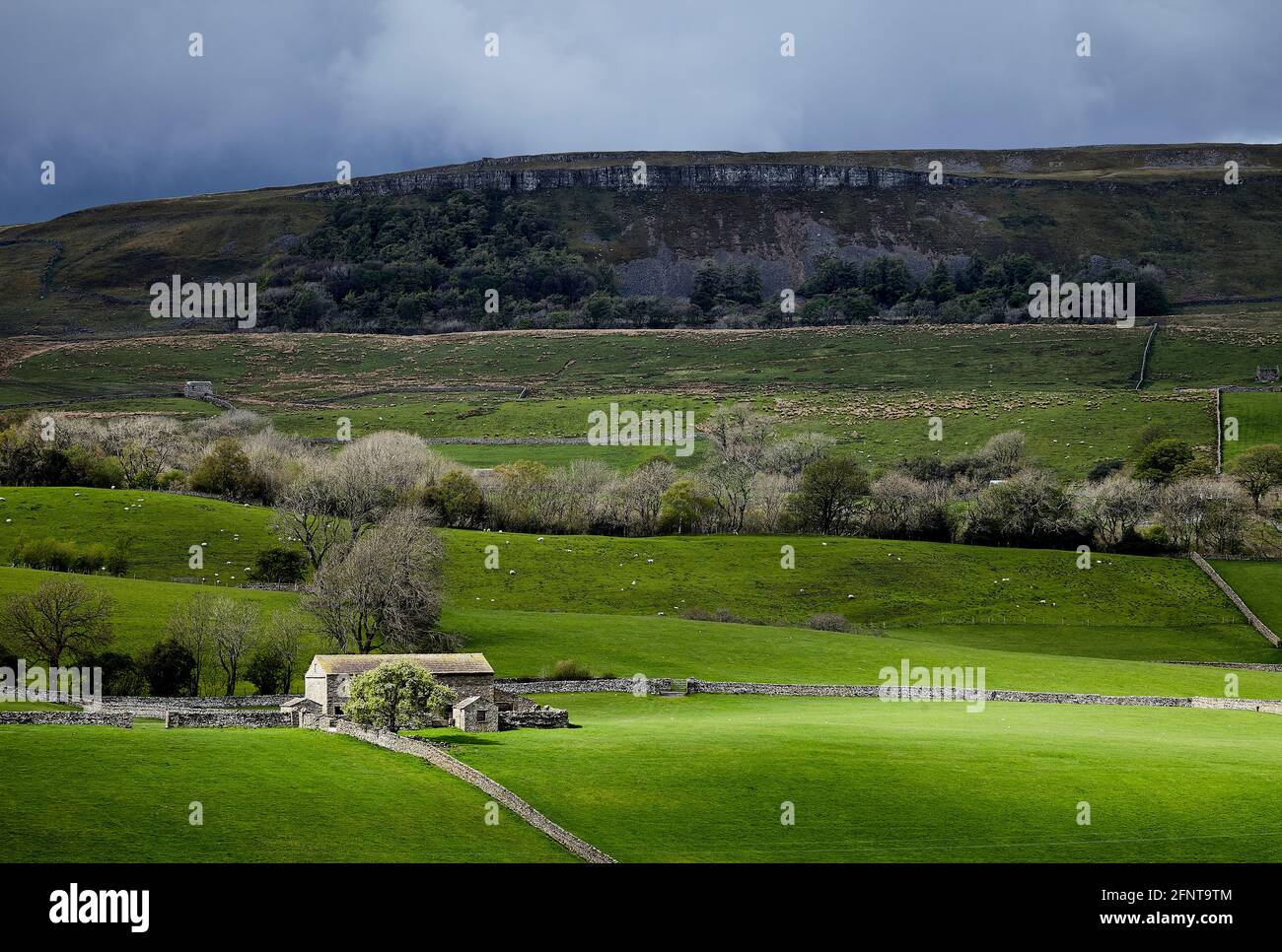 Dales light hi-res stock photography and images - Alamy