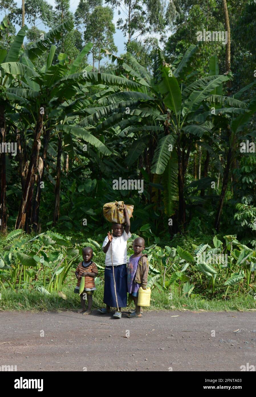 Congolese children in rural eastern Congo Stock Photo - Alamy