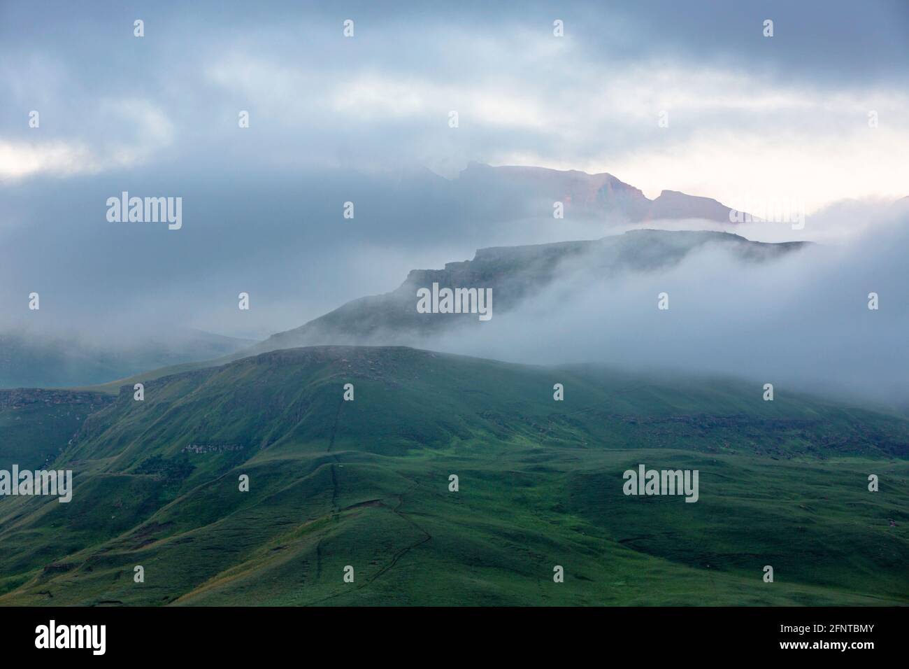 Low mist early in the morning on the mountain Stock Photo - Alamy
