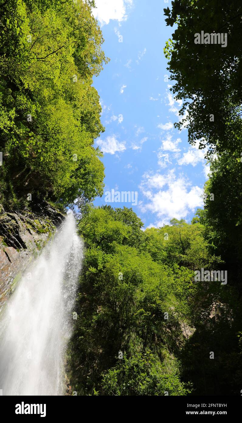 foaming waterfall with fresh water that flows through the forest Stock ...