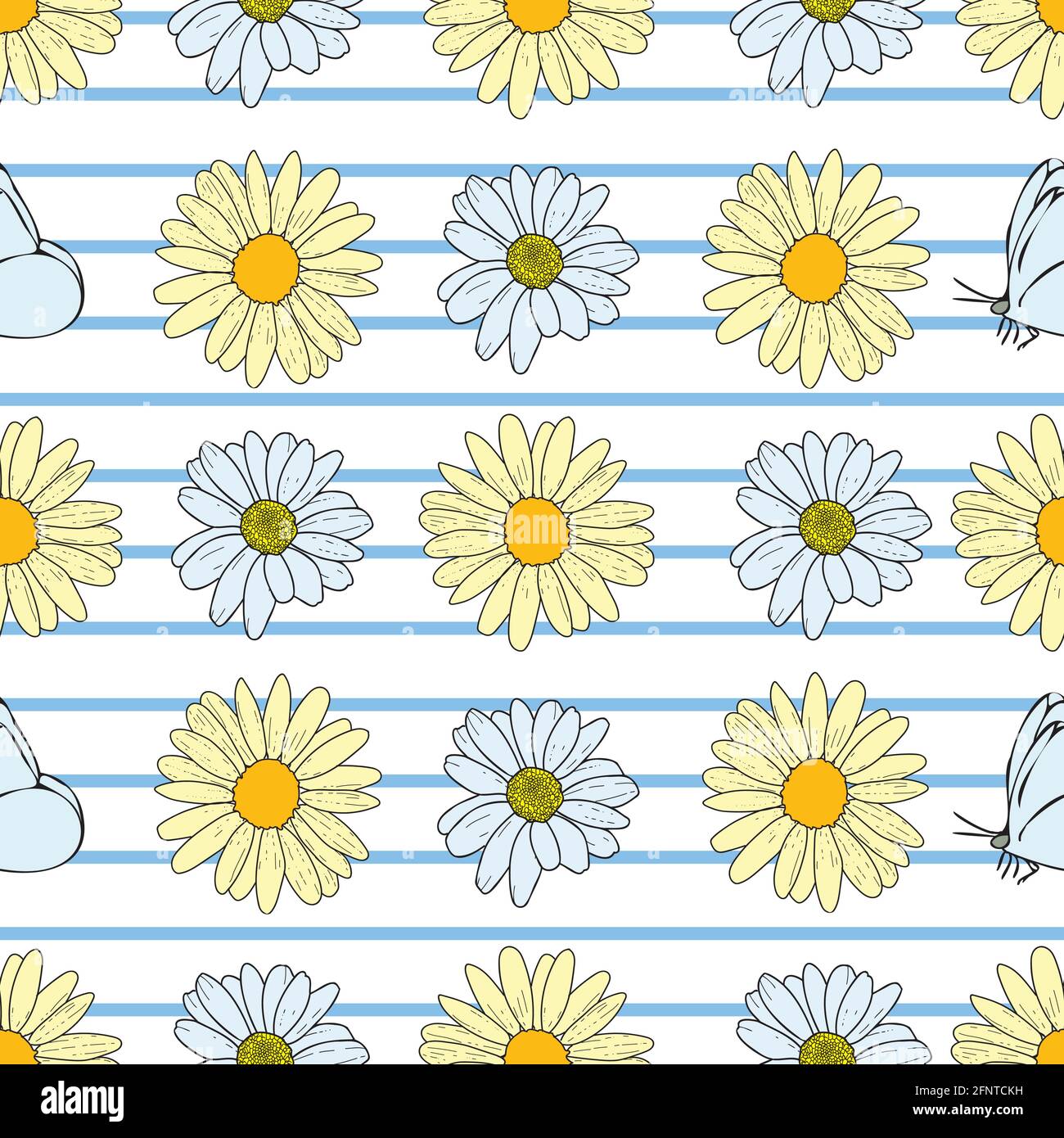 Vector white background daisy flowers, wild flowers and butterflies ...