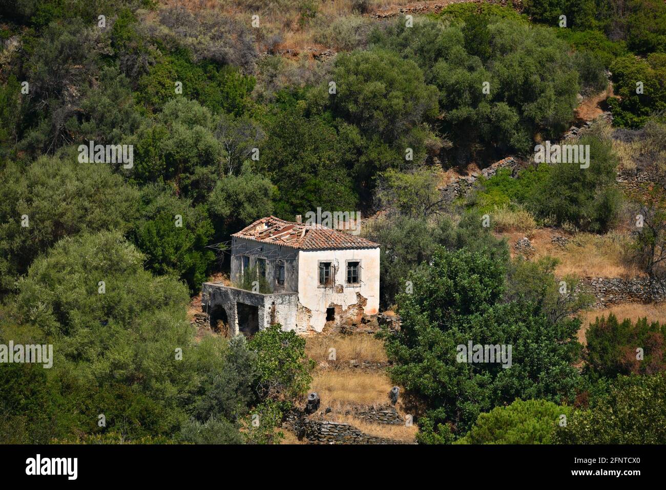 Scenic landscape with an old abandoned house in Karavas a traditional ...