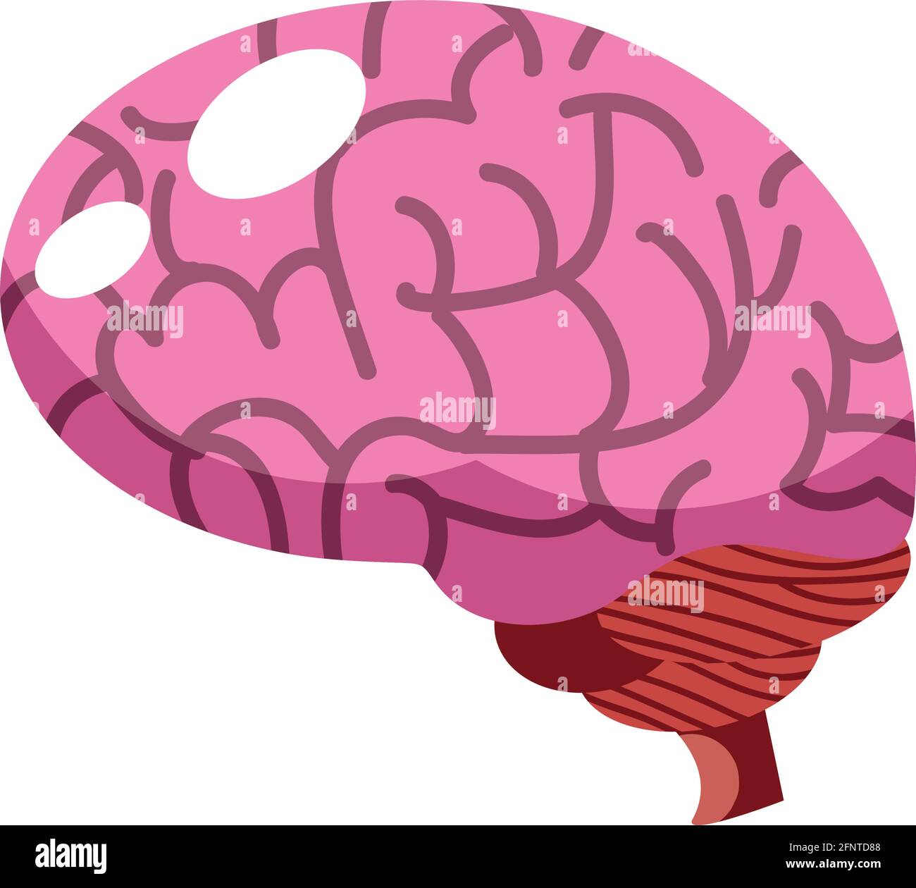 human brain organ Stock Vector Image & Art - Alamy