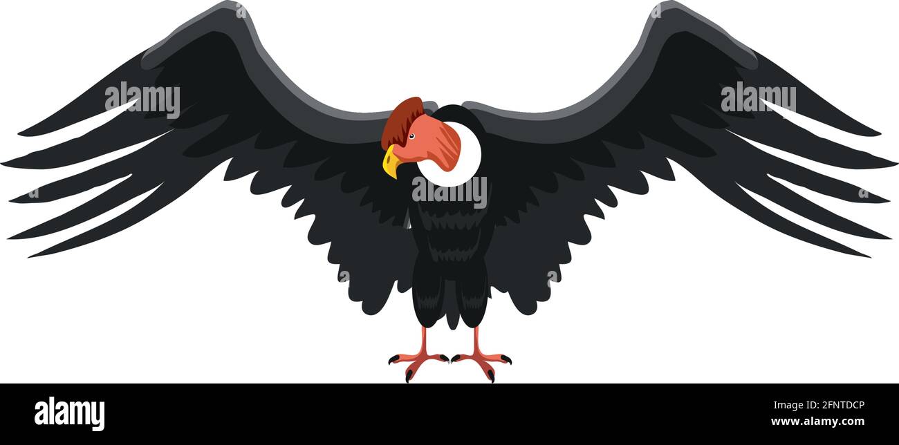 condor bird animal Stock Vector Image & Art - Alamy