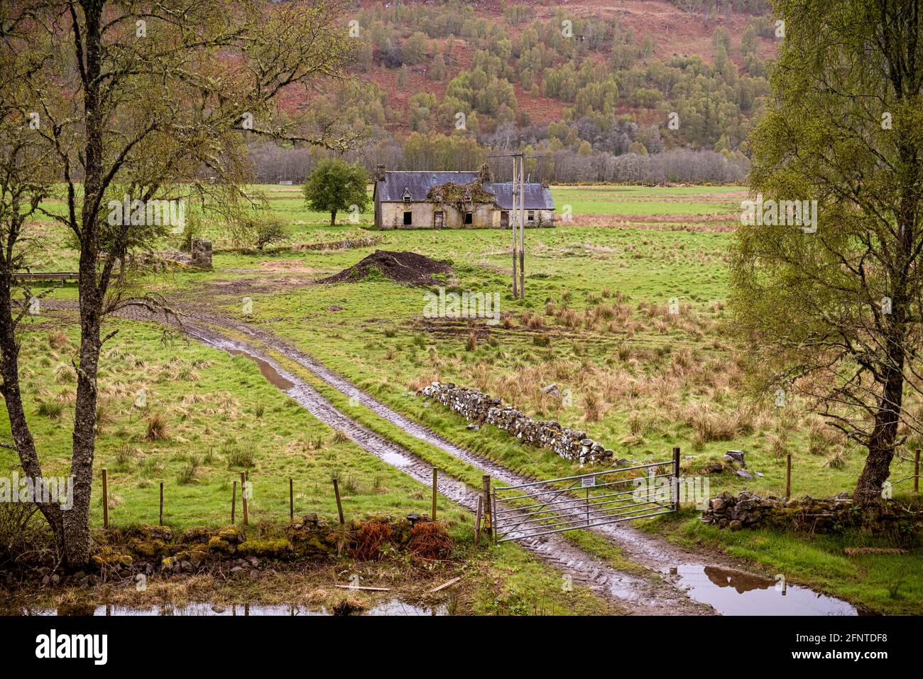 The old ruined farmstead of Wester Crochail in Strathglass is an ...