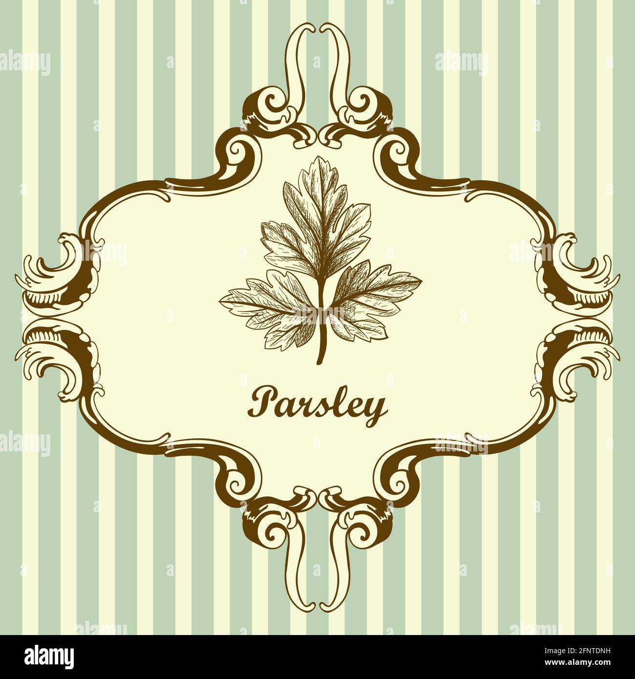 Parsley Icon. Hand Drawn Sketch Design. Vector Illustration Stock ...