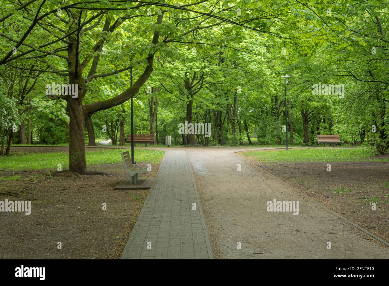 Rough cobbled path hi-res stock photography and images - Alamy