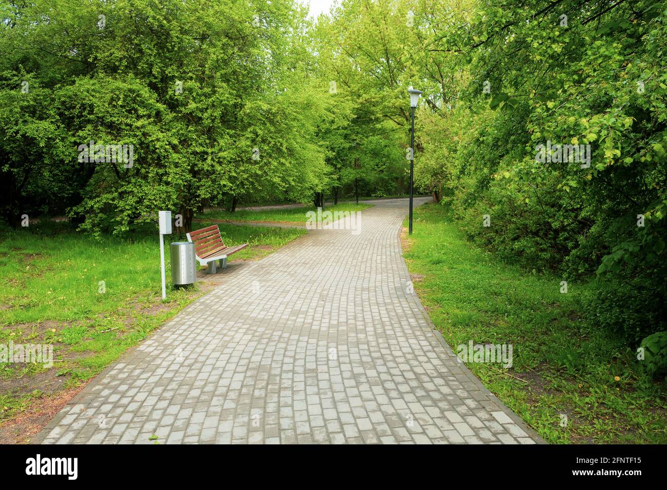 A cobbled path in a city park made of stones. Stone paved road in green ...