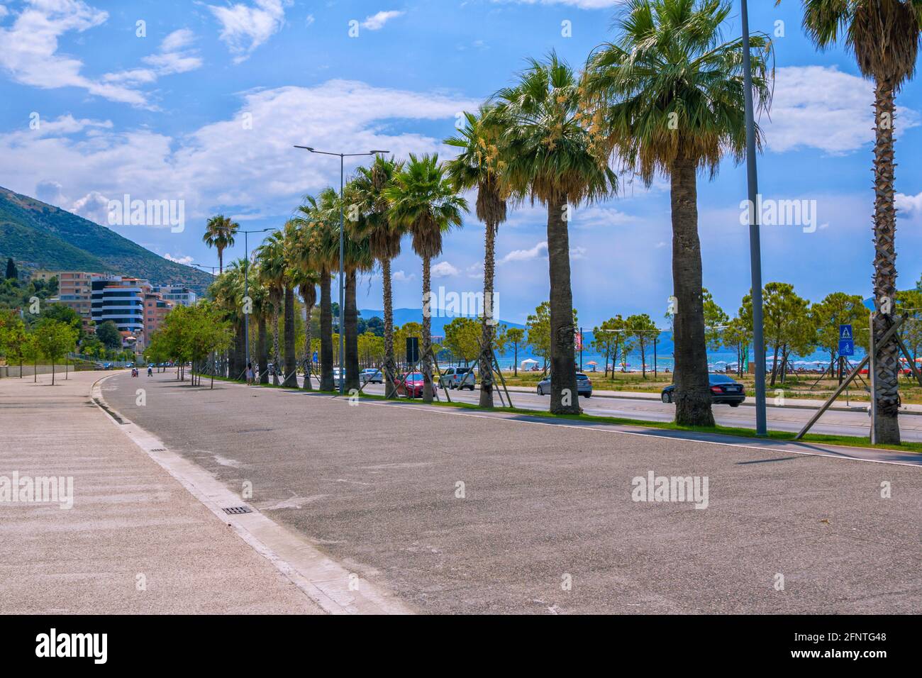 Beach albania palm trees hi-res stock photography and images - Alamy
