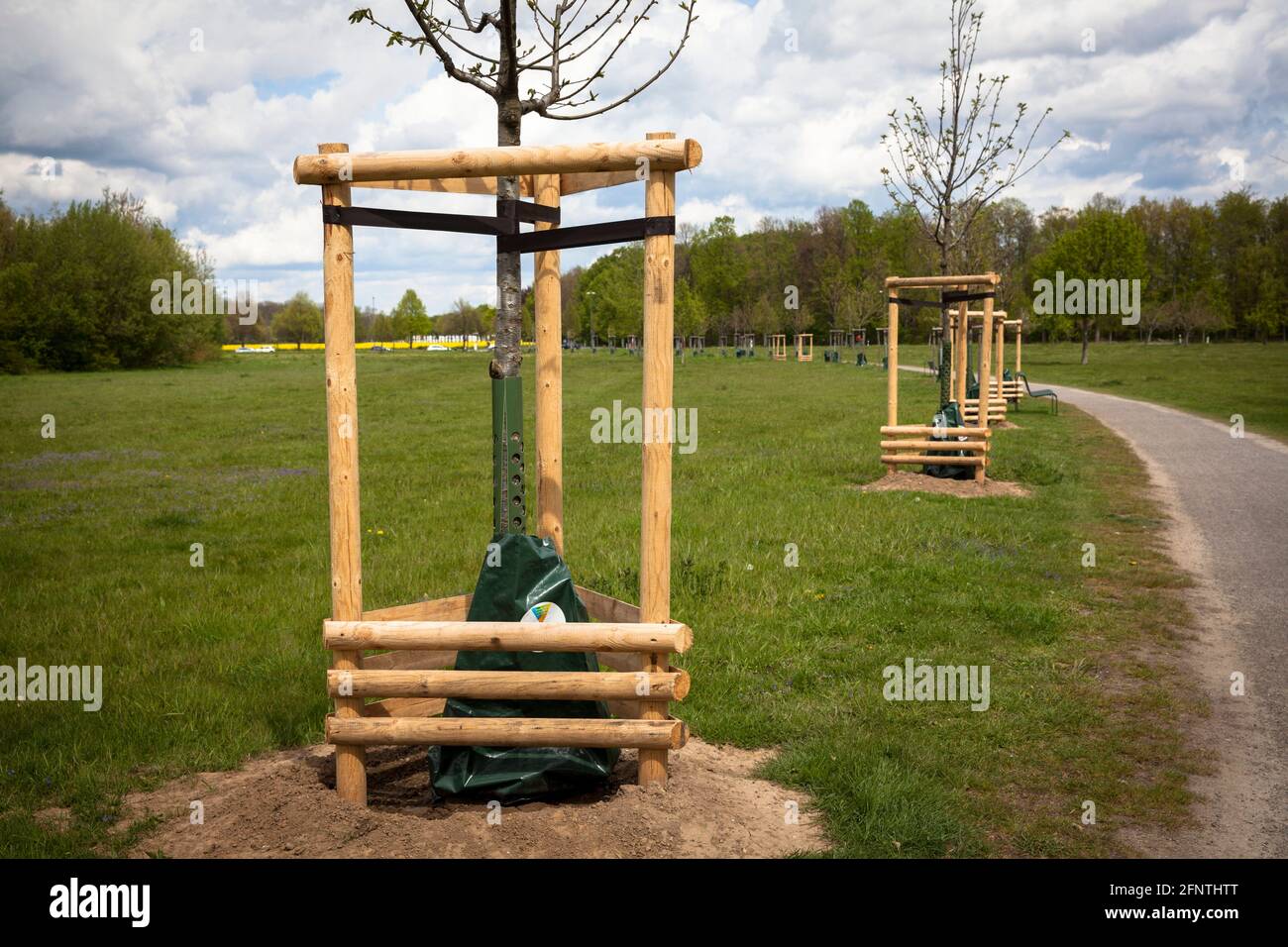 newly planted trees with supports and irrigation bags in Loevenich ...