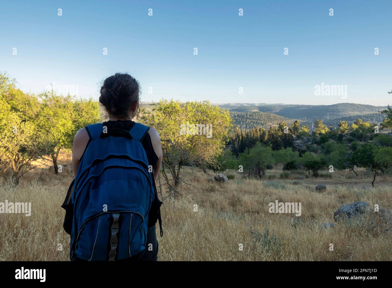 Sataf hi-res stock photography and images - Alamy