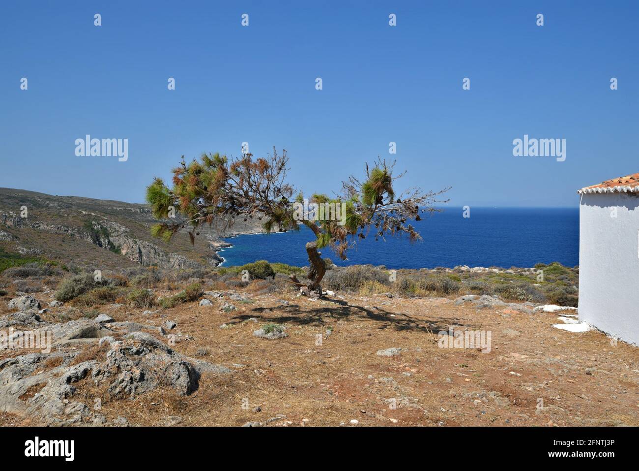 Scenic landscape with view of a rural shack with whitewashed walls and ...