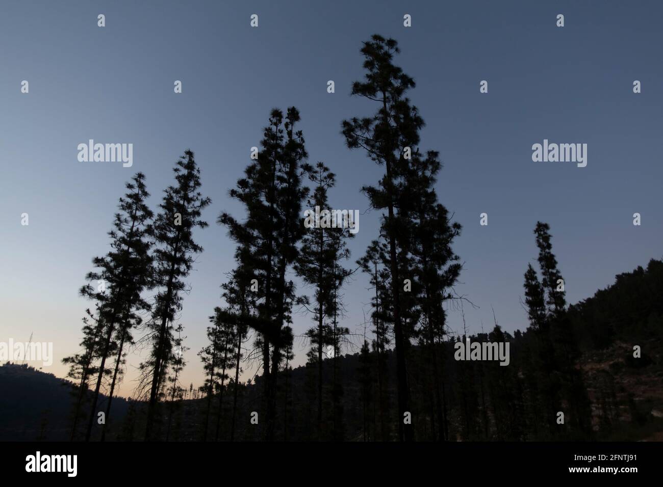 Sataf hi-res stock photography and images - Alamy