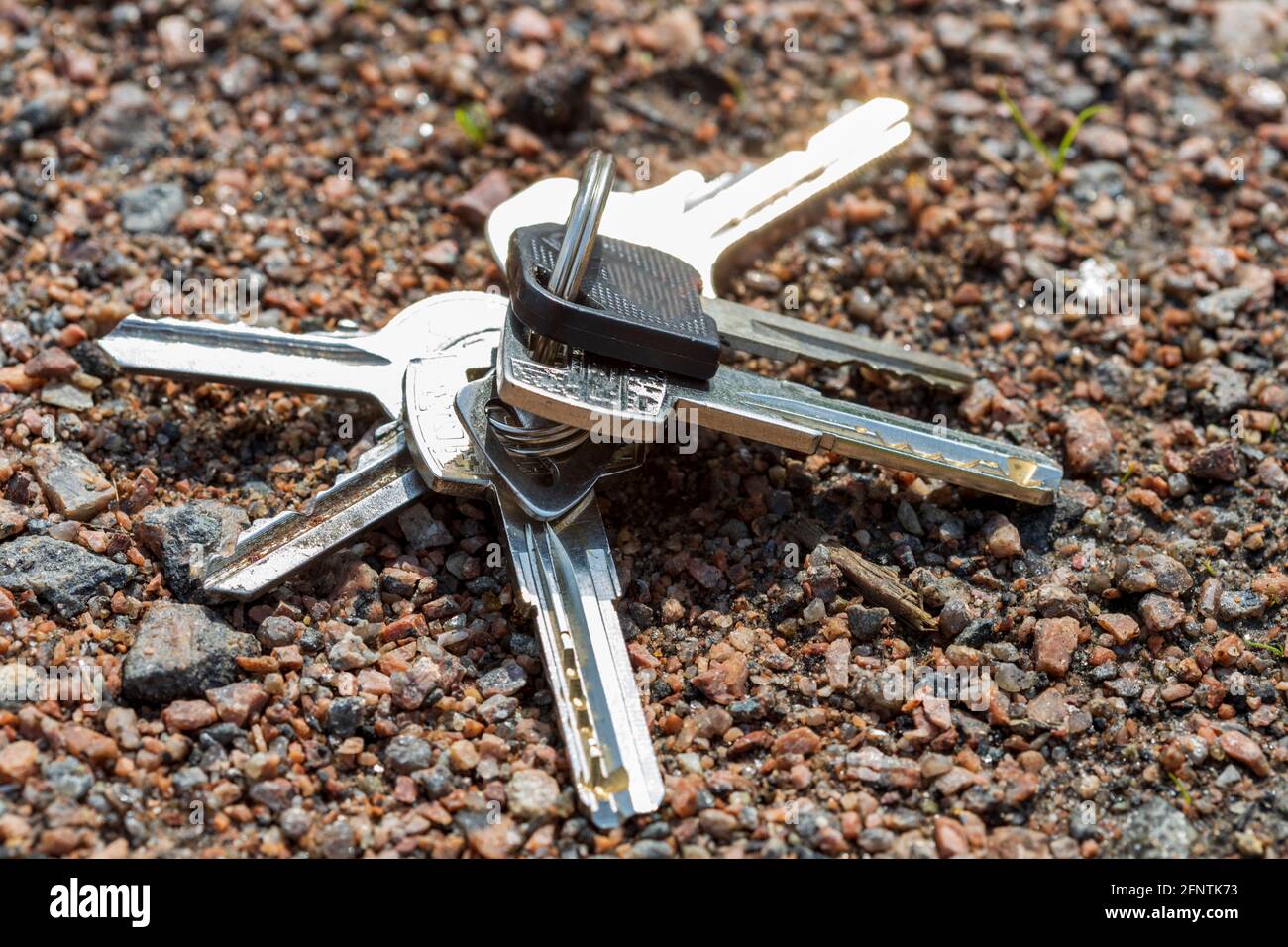 loss of keys. ligament lies on the sand on the street. High quality ...