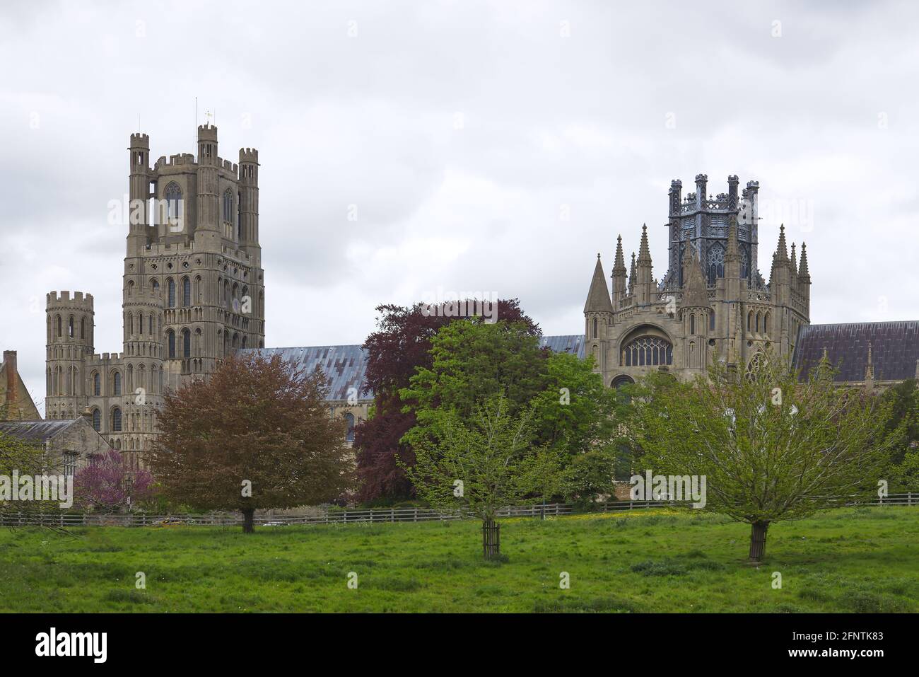 View from Cherry Hill Park of Ely Cathedral, Cambridgeshire, England ...