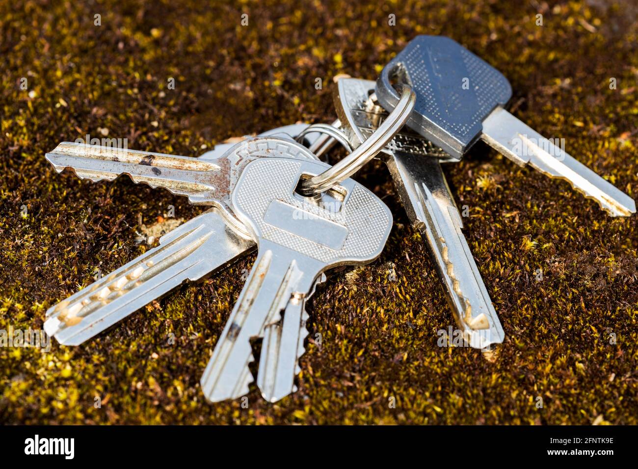 Lost keys lies on the ground in nature. High quality photo Stock Photo ...