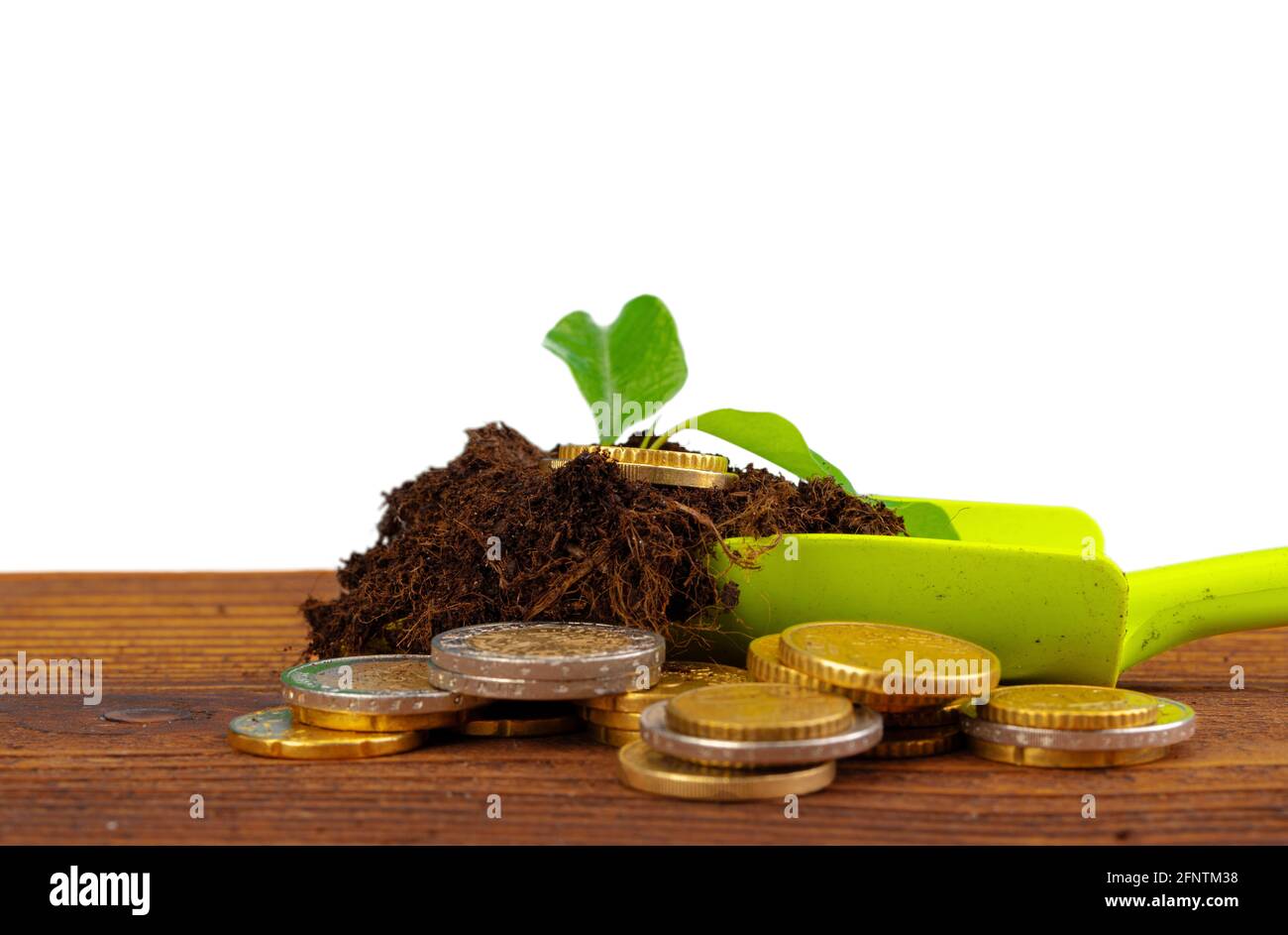 Coins stack of money and growing plant, financial concept Stock Photo ...