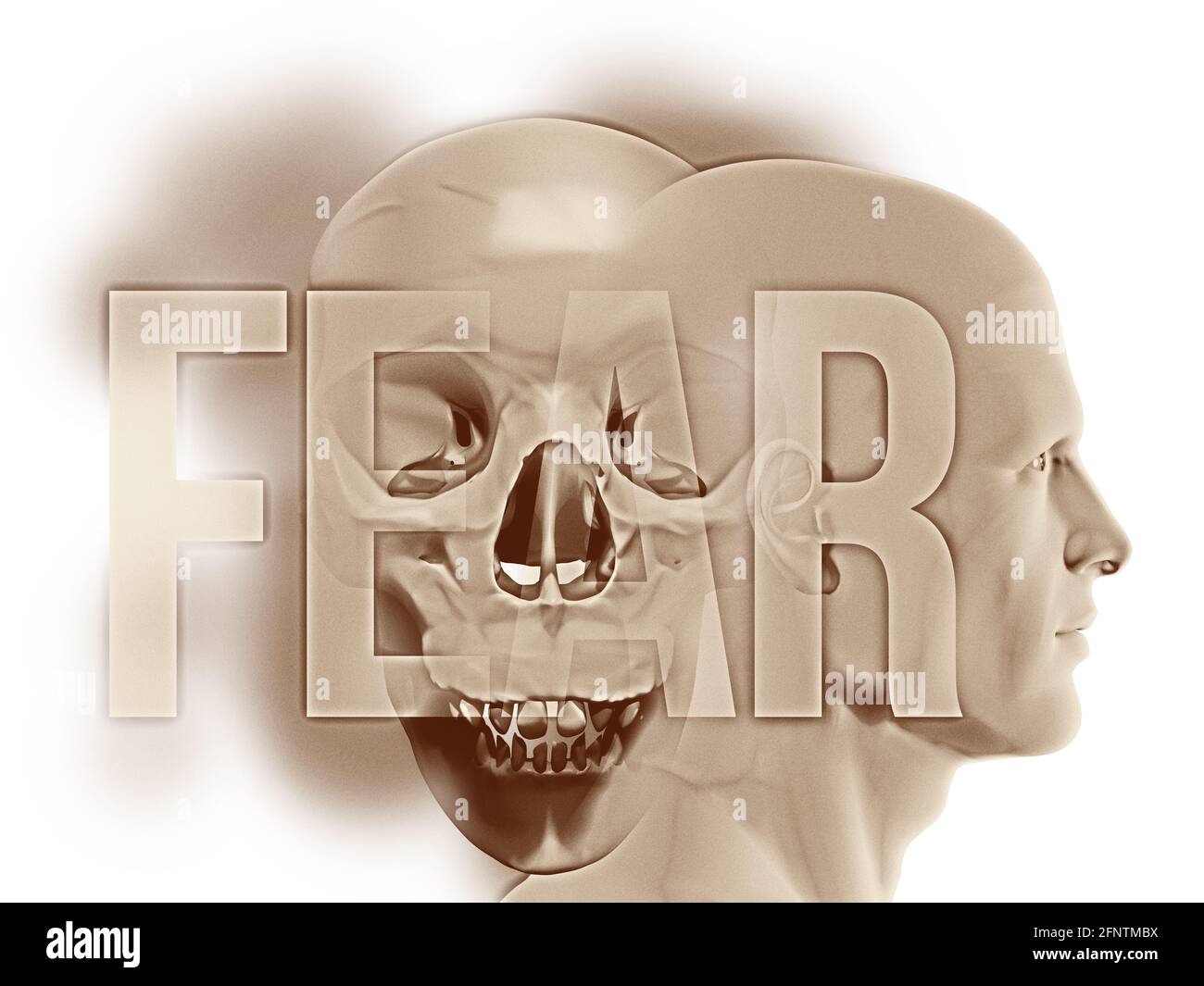 Physiology of perception hi-res stock photography and images - Alamy