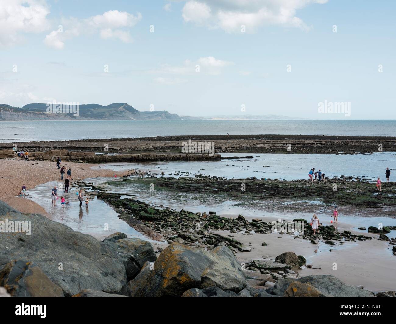Lyme regis fossil hunting hi-res stock photography and images - Alamy