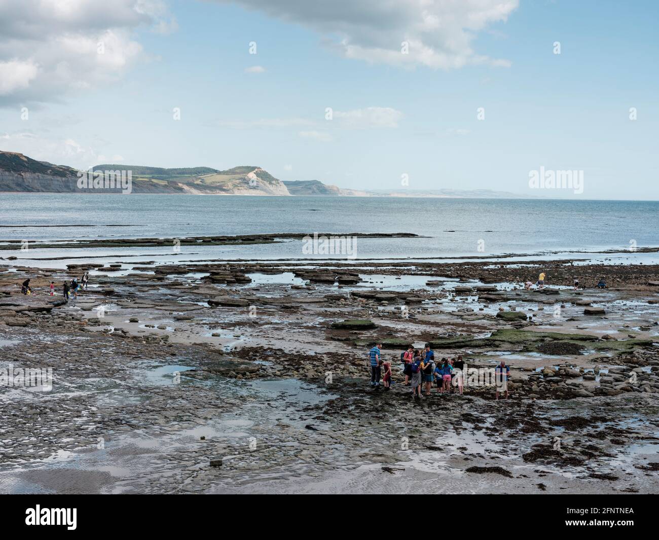 View of East Cliff Beach from the Church Cliff Walk seawall, Lyme Regis ...