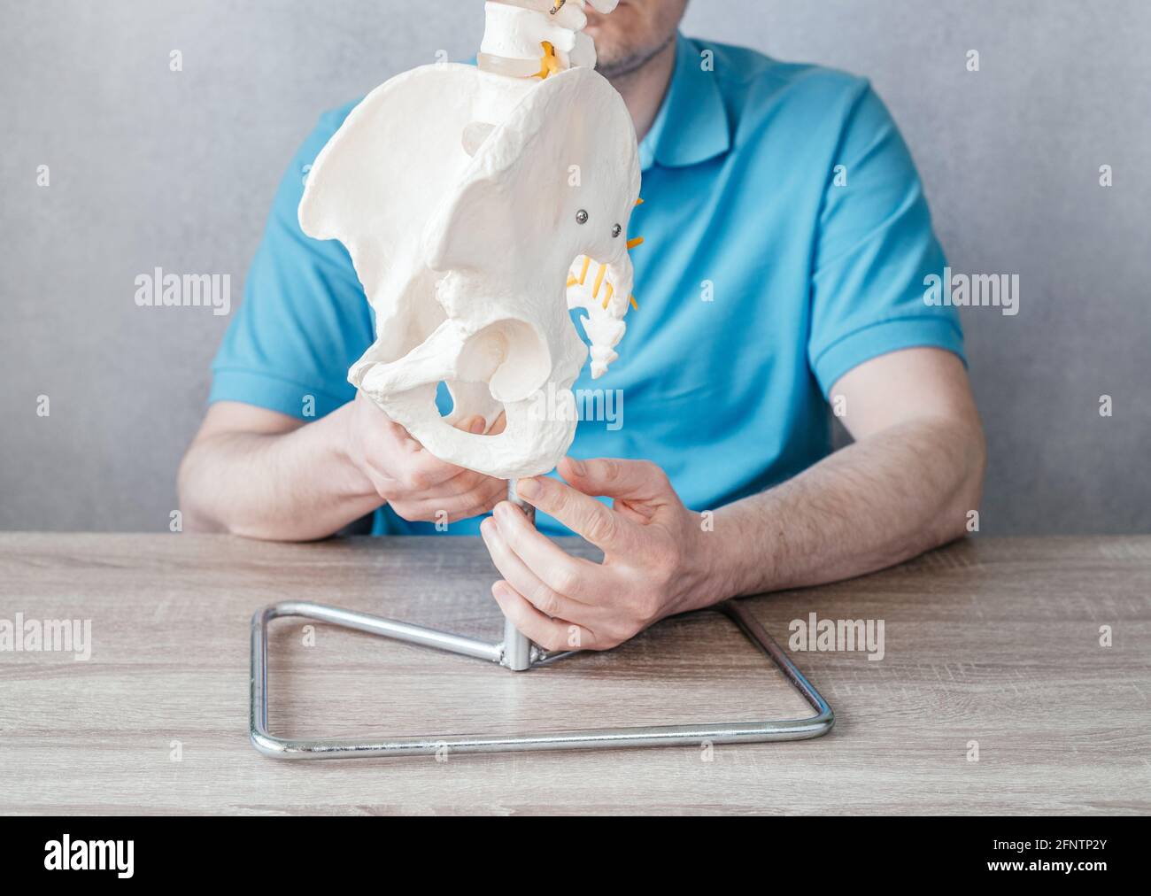 Ischial spine hi-res stock photography and images - Alamy