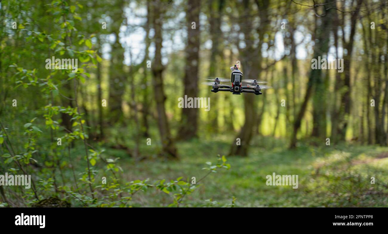 Drone flying among green trees in a forest Stock Photo - Alamy