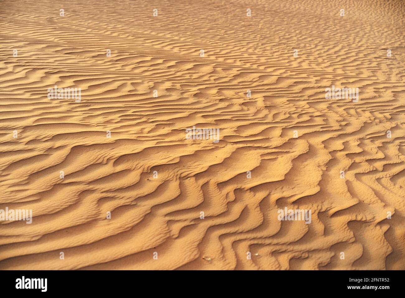 Wavy sand texture in Dubai desert close up Stock Photo - Alamy
