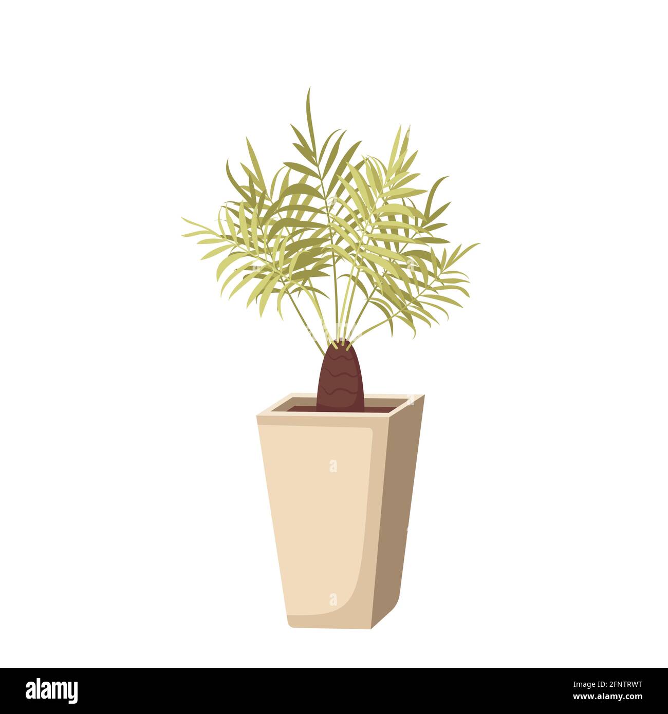 Green palm leaves interior Stock Vector Images - Alamy