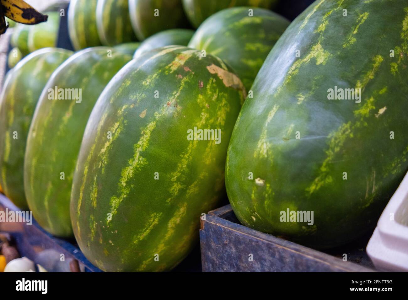 Fresh watermelons on local hi-res stock photography and images - Alamy