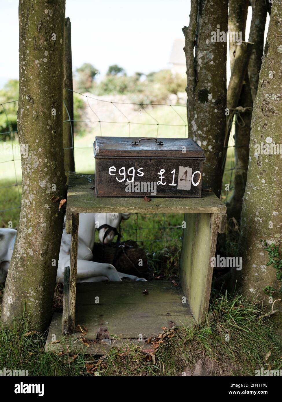 Eggs for sale on a farm near Lyme Regis, Dorset, United Kingdom, 2019 ...
