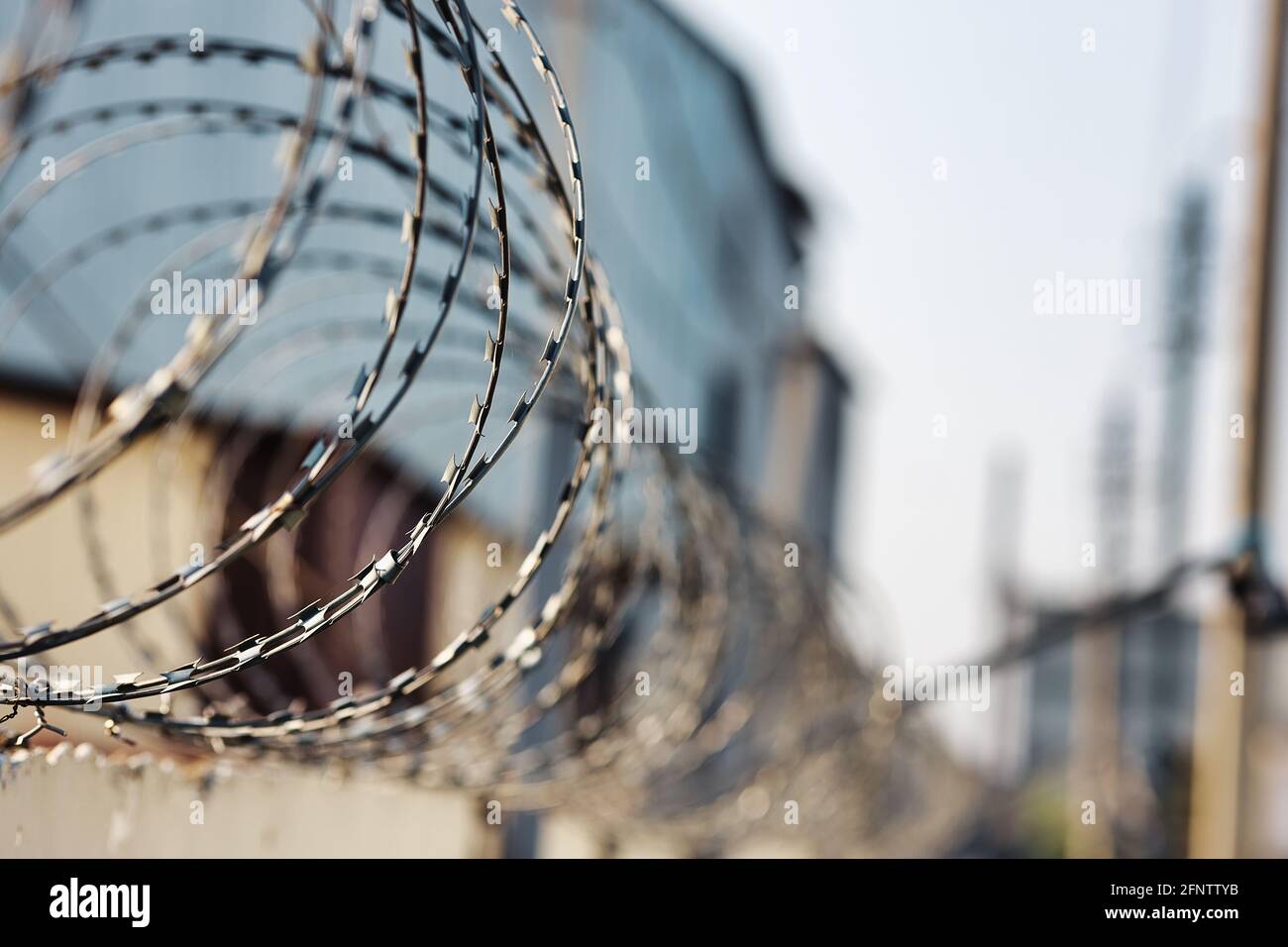 Spirals of barbed wire on a concrete fence. A symbol of incarceration ...