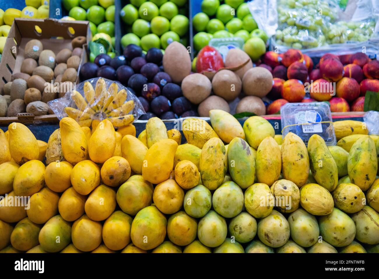 Colorful fruit stand with mangoes, peaches, mamey, green apples, and ...