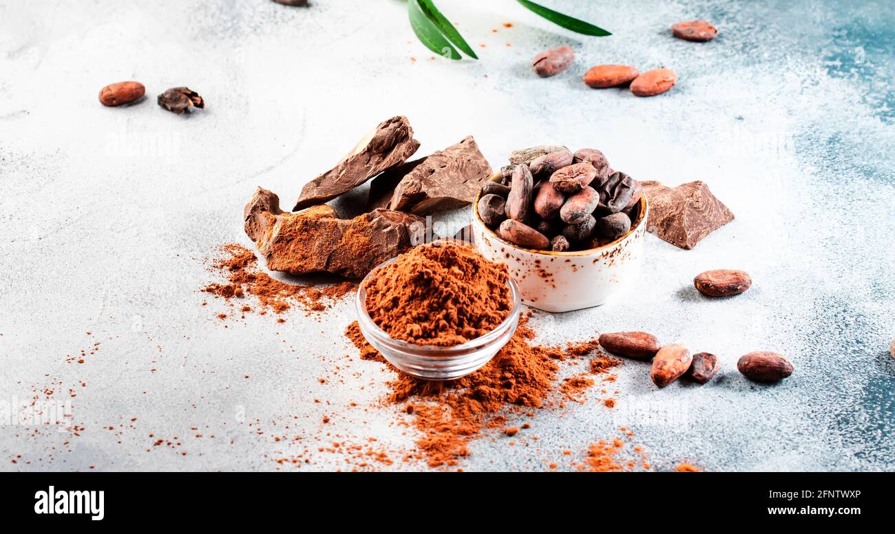 Organic cocoa powder, beans, grated lump on gray background. Copy space ...