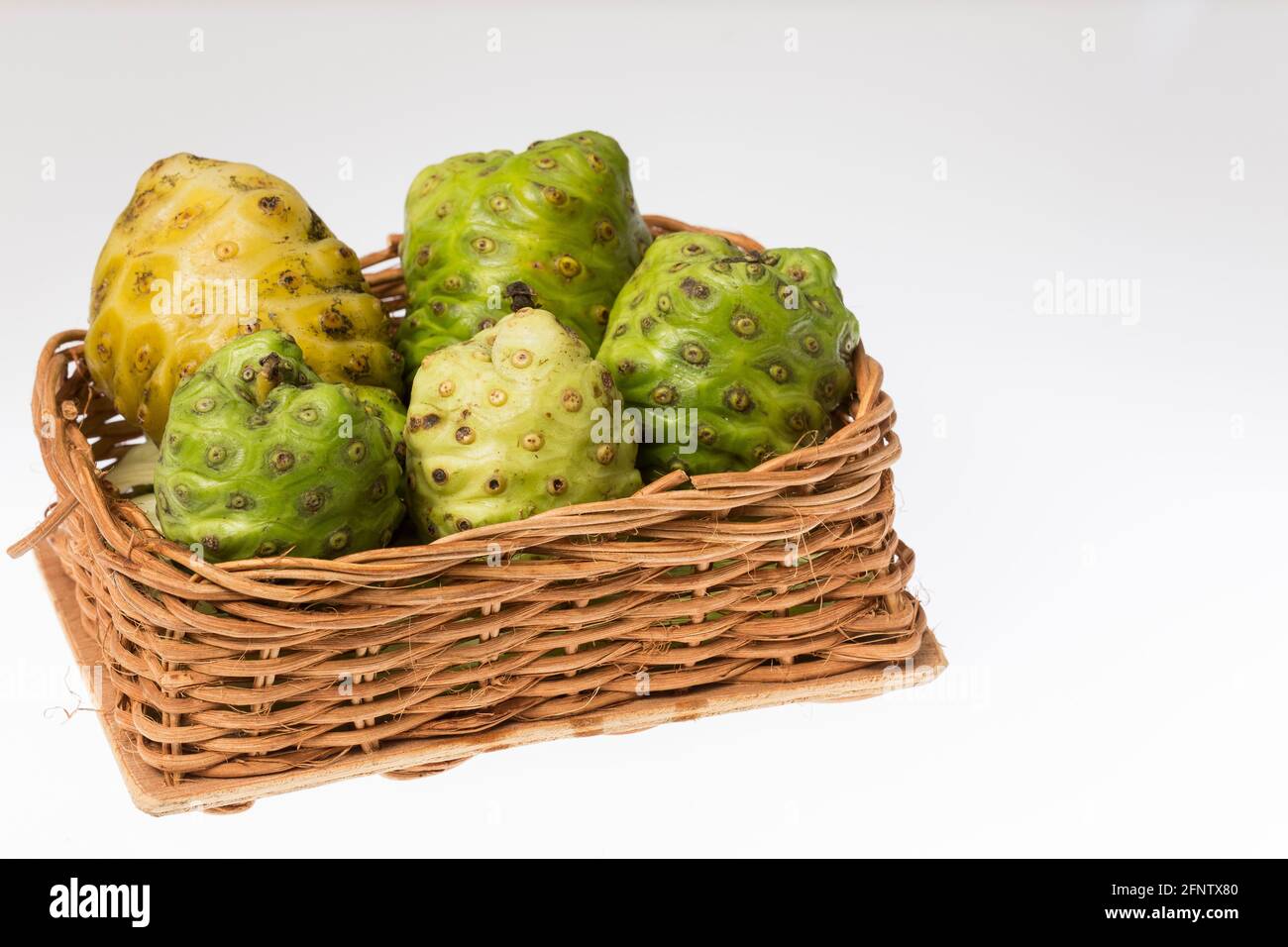Morinda citrifolia - Noni fruit with many medicinal properties; Photo ...