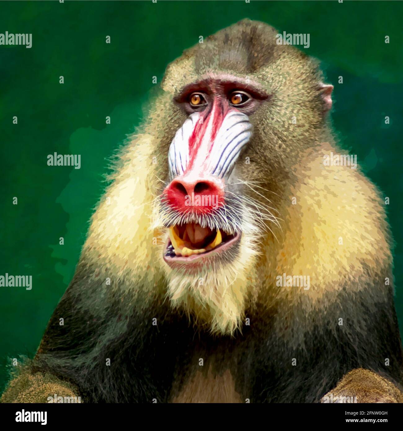 Gallery quality image hi-res stock photography and images - Alamy