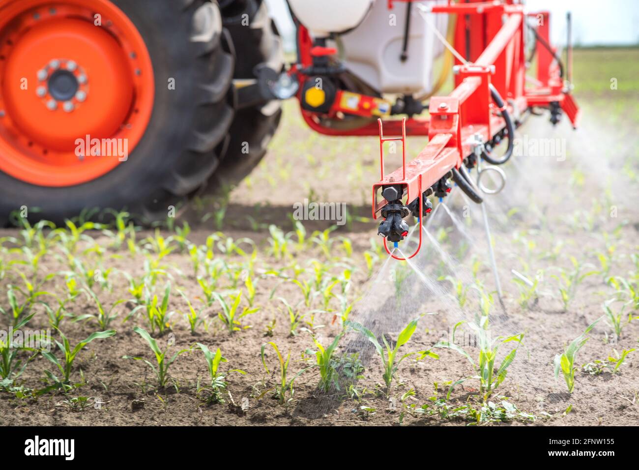 Tractor spraying pesticides on corn field with sprayer at spring Stock ...