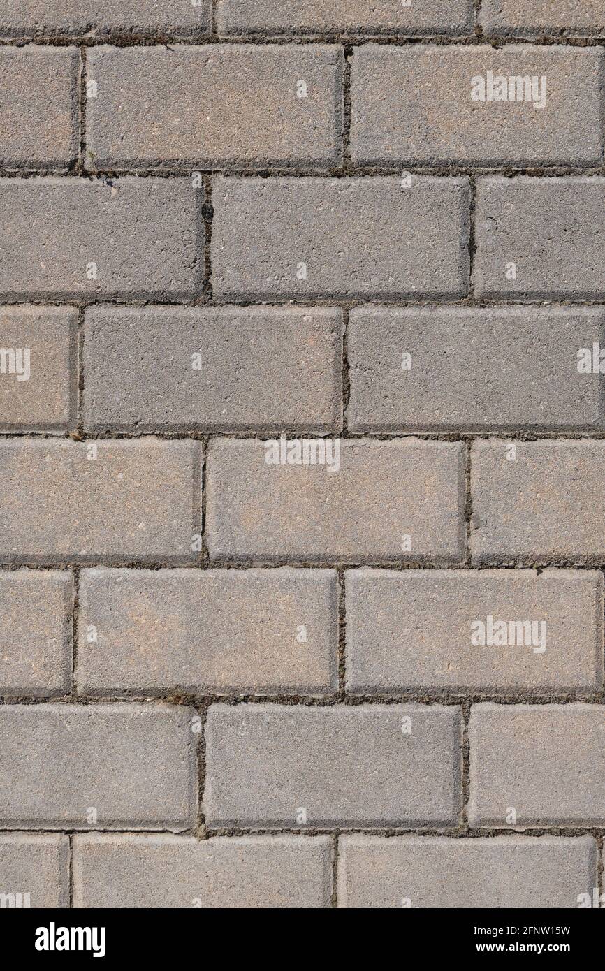 Monotone gray paving stones pavement. Background vertical texture Stock ...