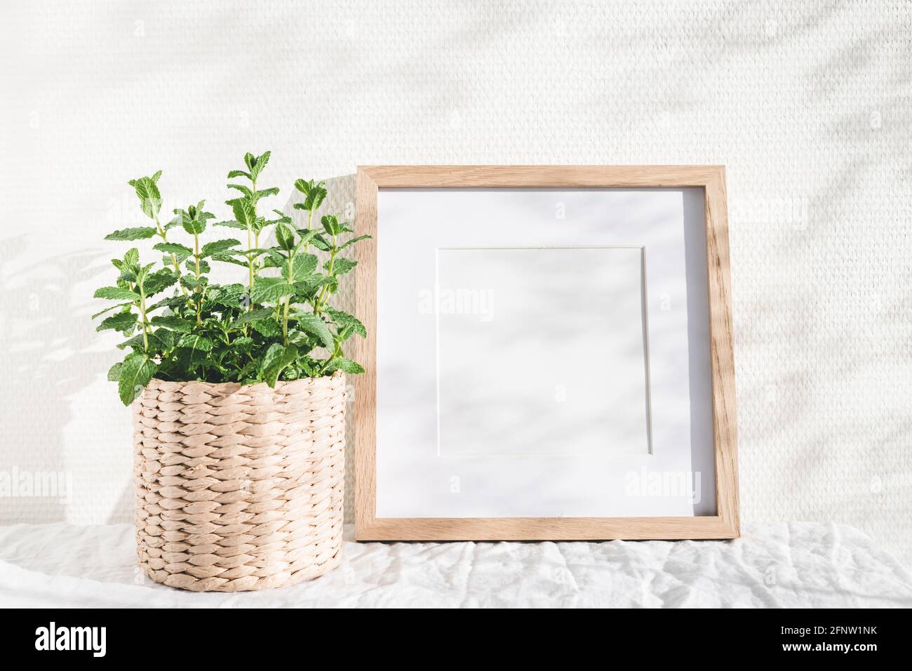 Wooden square frame and mint plant on white table Stock Photo - Alamy
