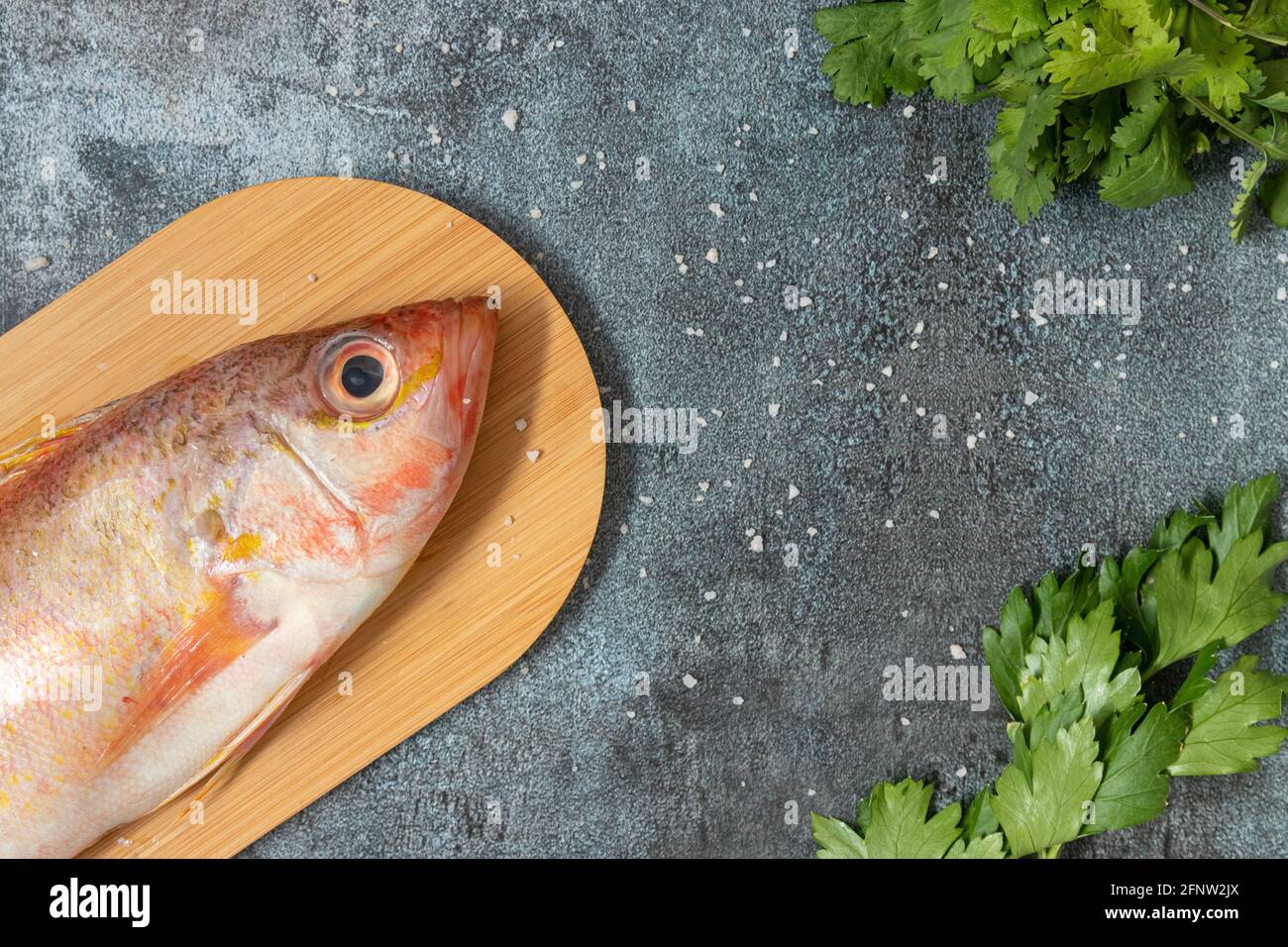 Doncella fish hi-res stock photography and images - Alamy