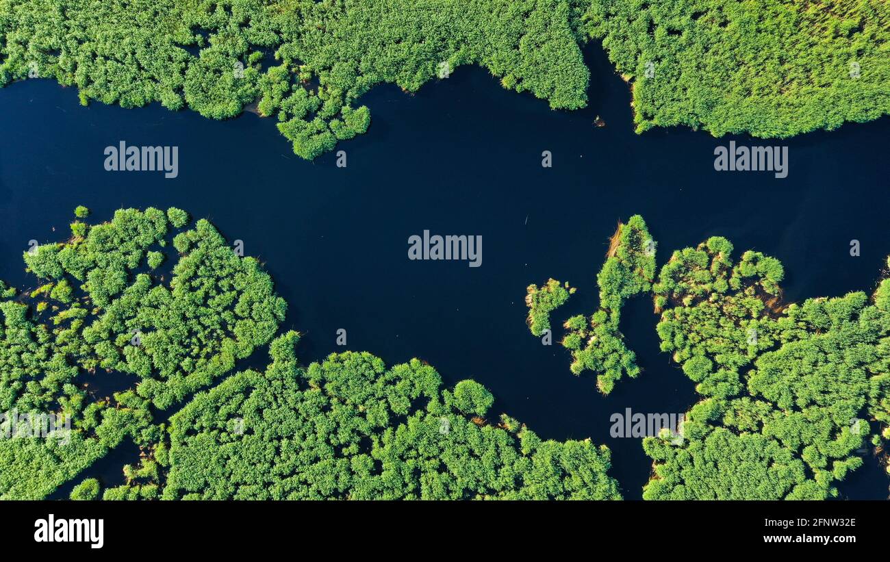 The beauty of reed wetland in Bosten lake in Bayingolin,Xinjiang,China ...