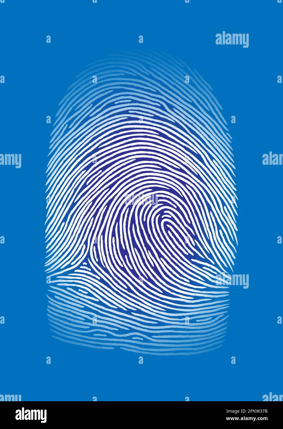 Fingerprint vector illustration, macro image Stock Vector Image & Art ...
