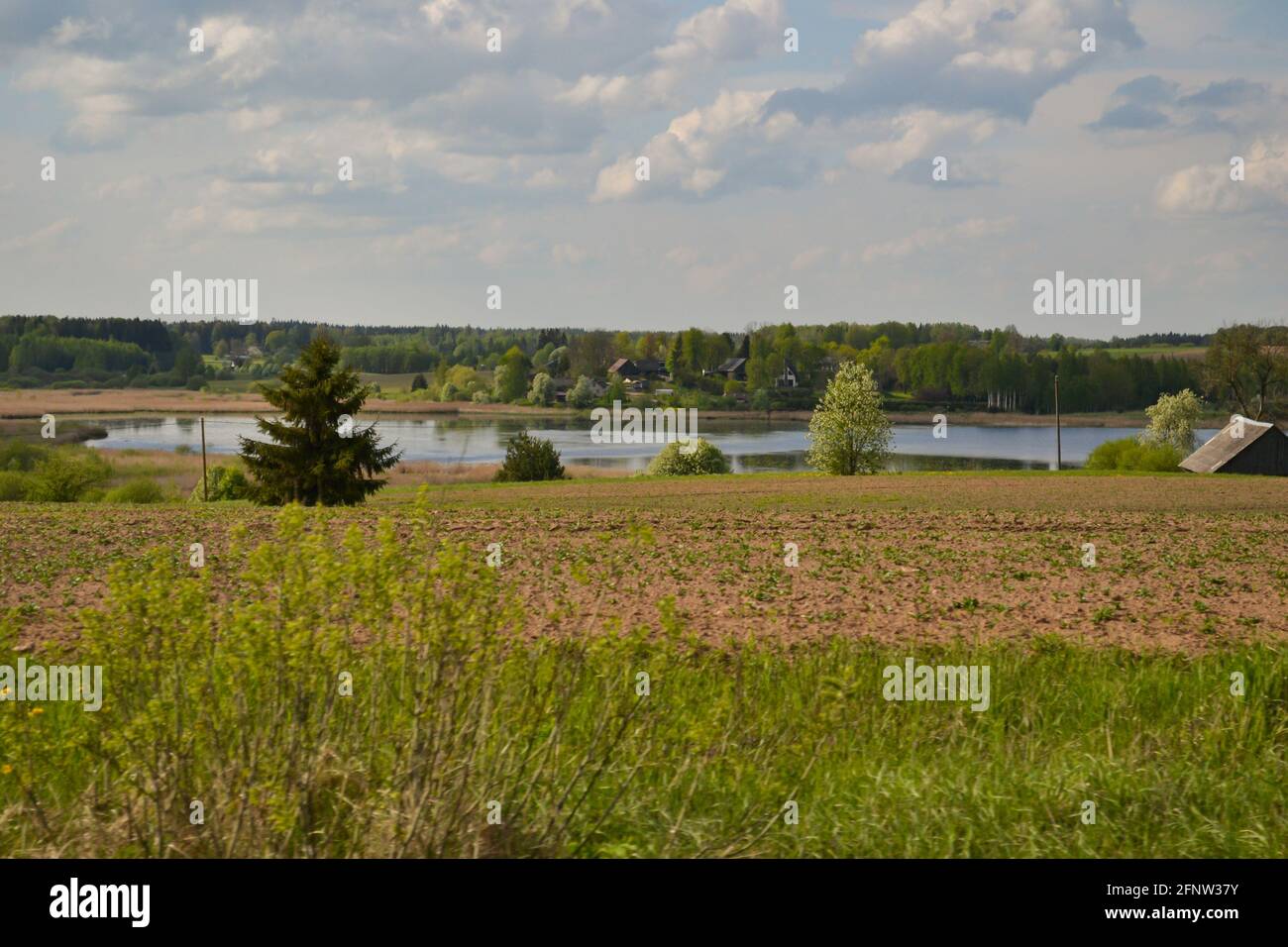 country landscape with green meadow and blue sky above. simple ...