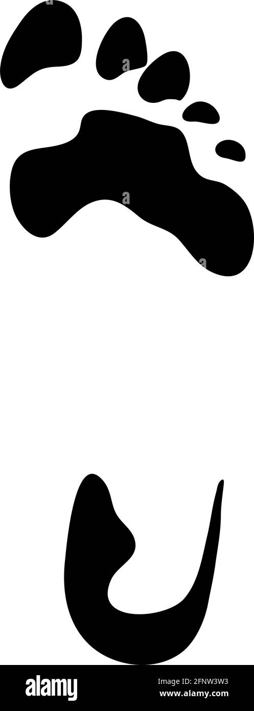 foot print vector Stock Vector Image & Art - Alamy